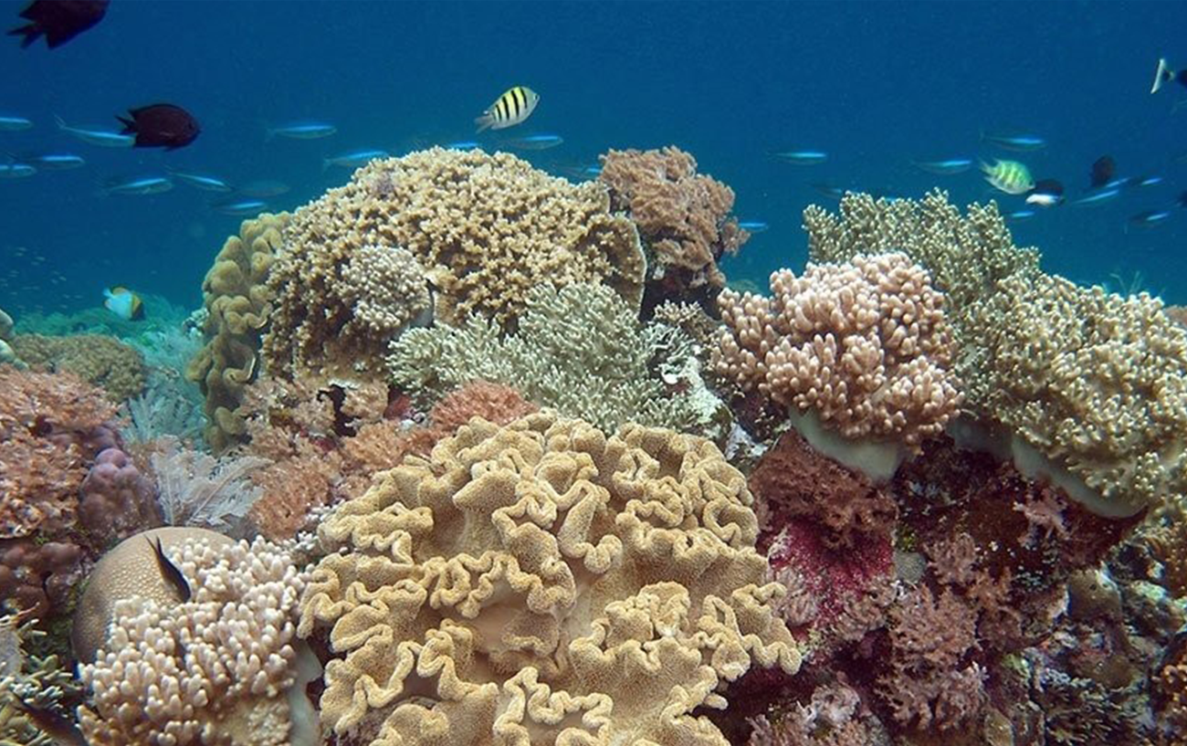 10 cose da sapere prima di andare in vacanza a Marsa Alam - Veratour