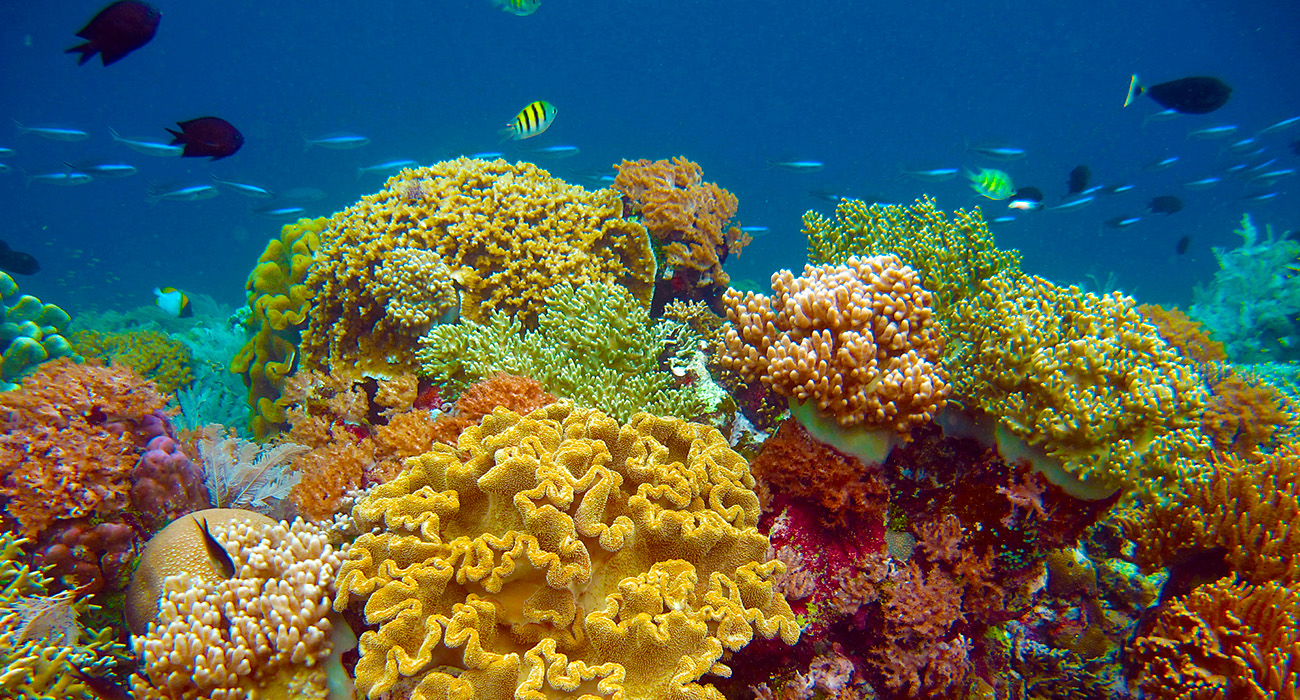 Le spiagge più belle di Marsa Alam - Veratour