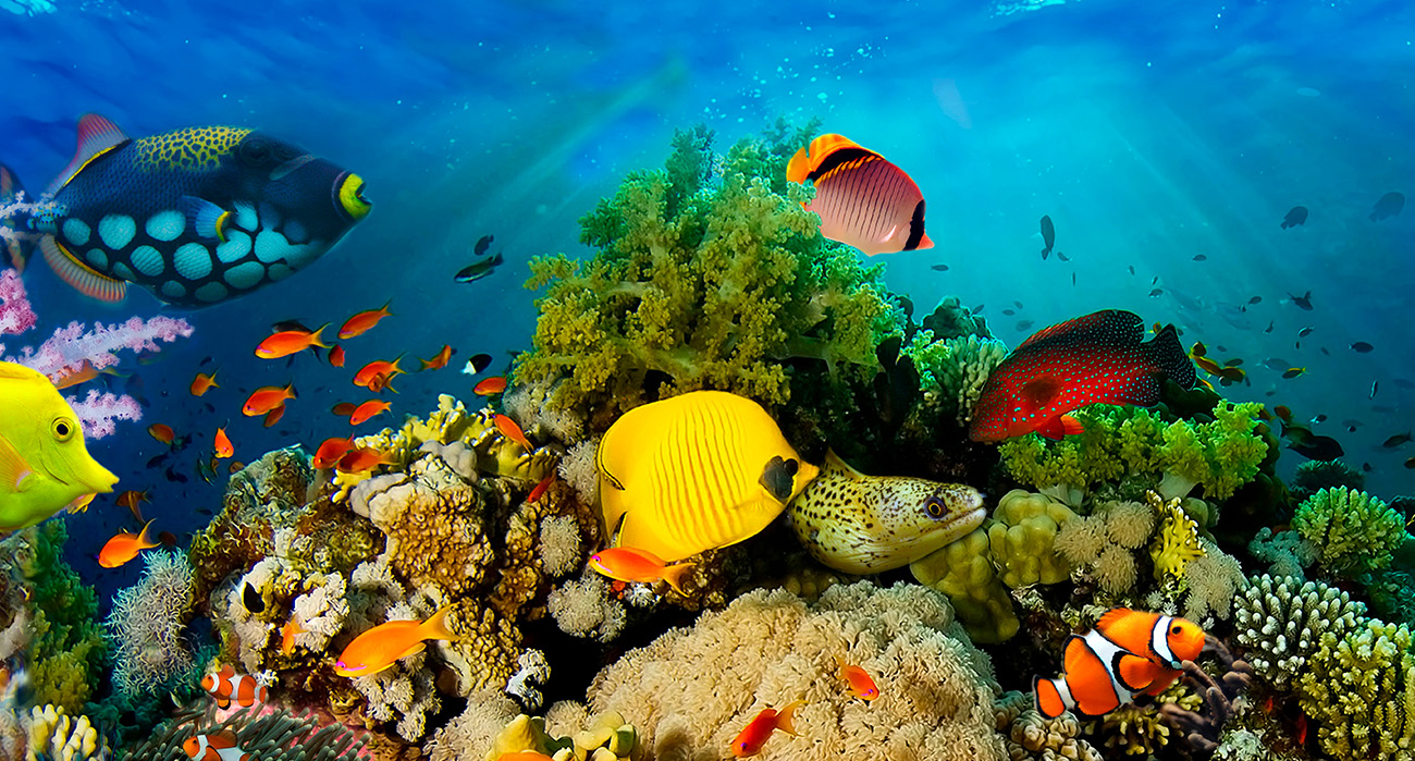 2 escursioni da non perdere a Sharm el Sheikh - Veratour